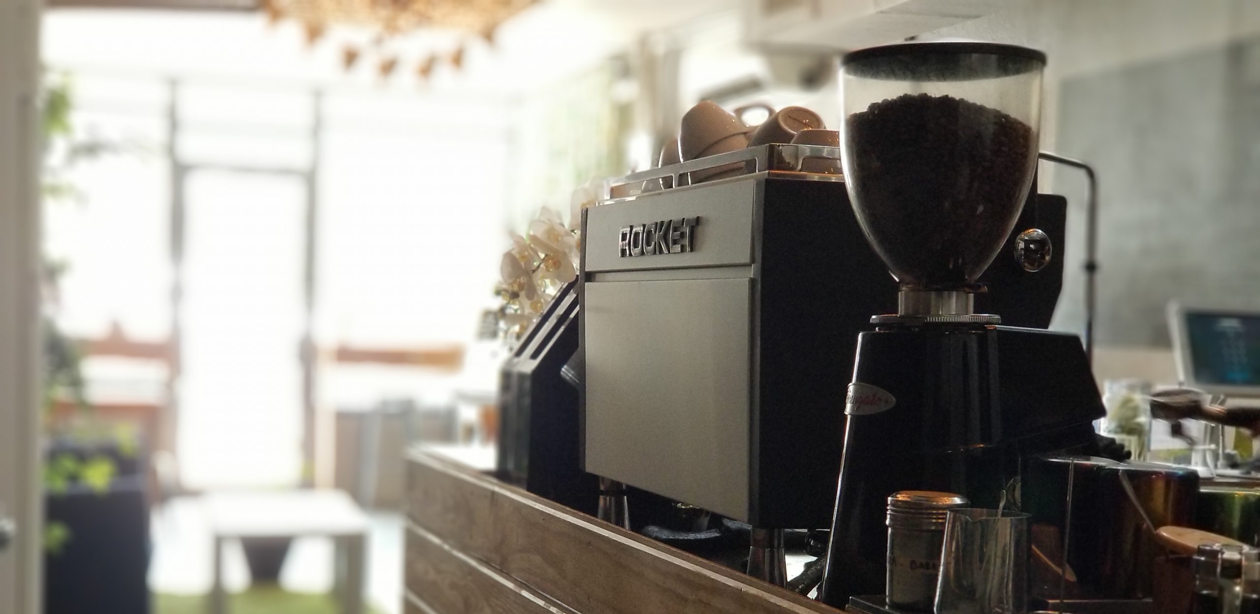 Tazón Coffee | Shop | Talleres | Nuestro Grano | Rocket Espresso | Inicio